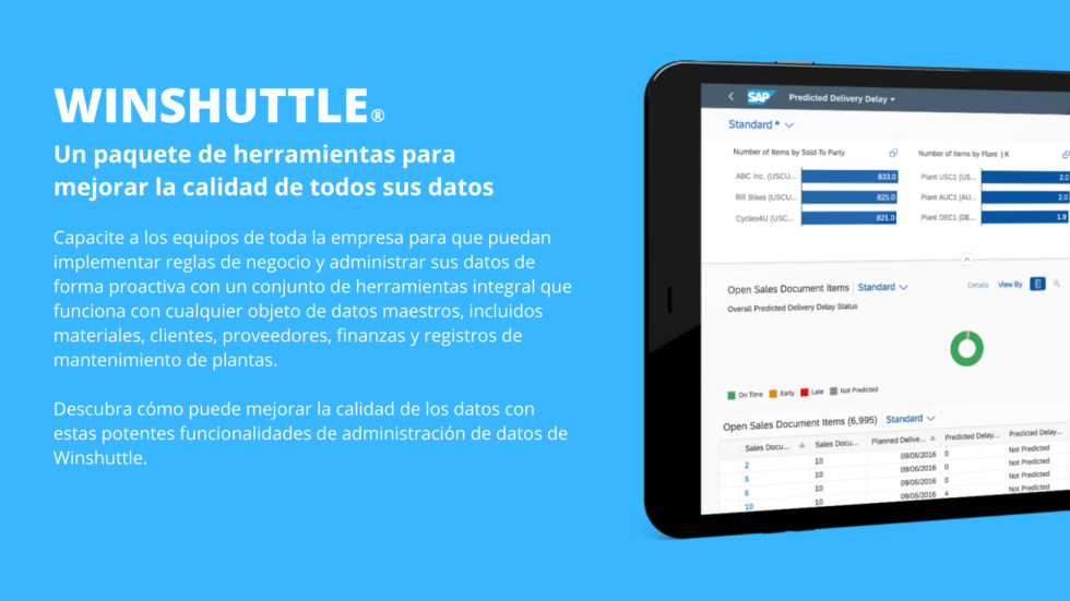 Winshuttle | BC SUPPORT S.A.S.